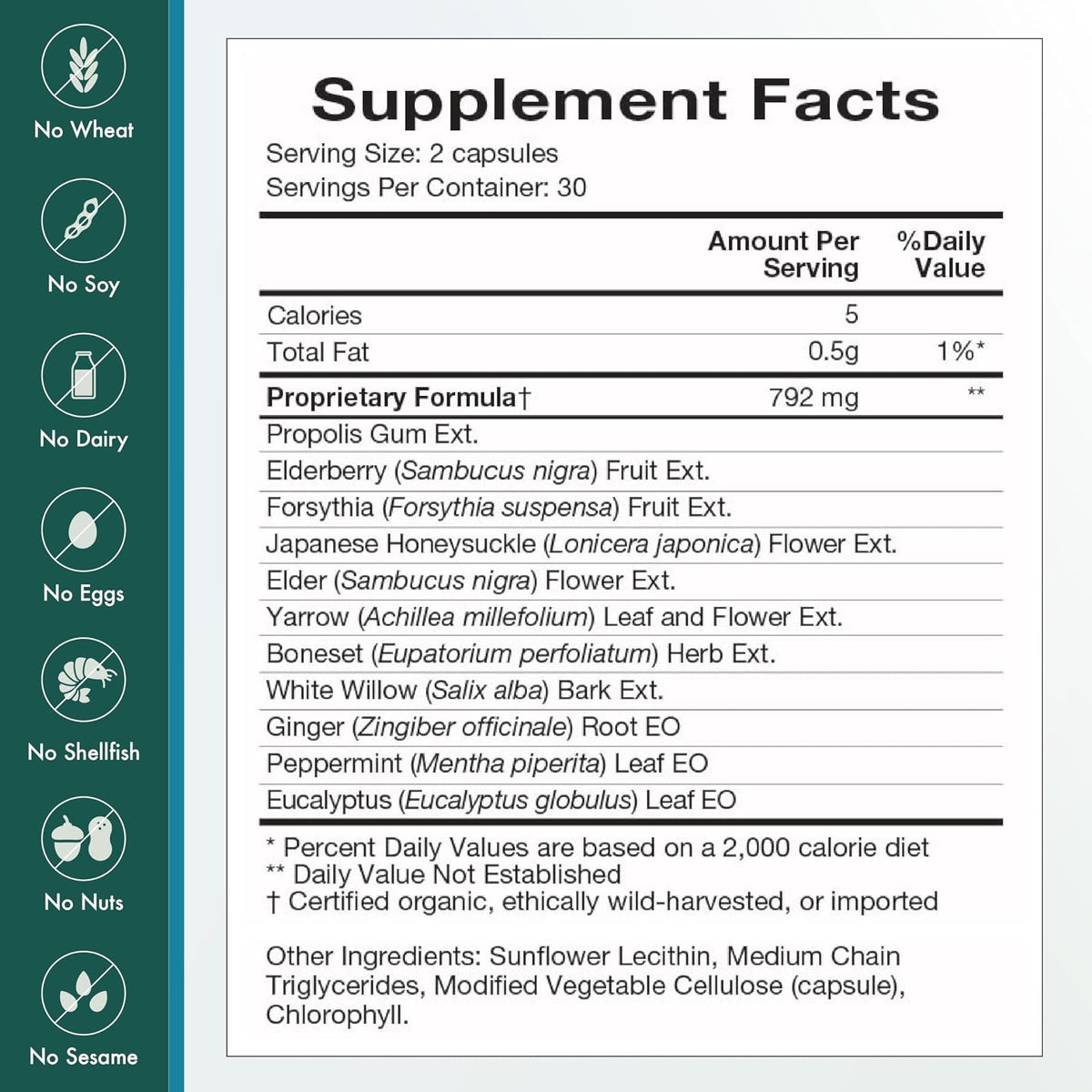 Natura elderberry for seasonal health