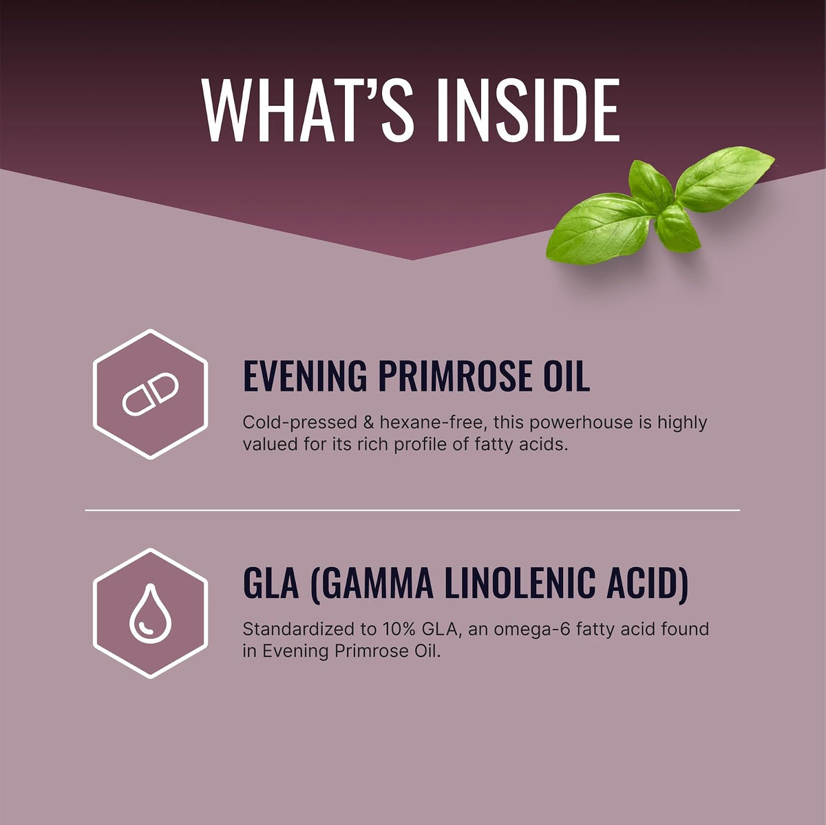Natural 10% GLA Evening Primrose benefits