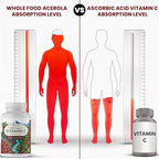 natural acerola cherry vitamin c