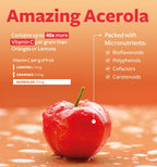 natural acerola vitamin c benefits