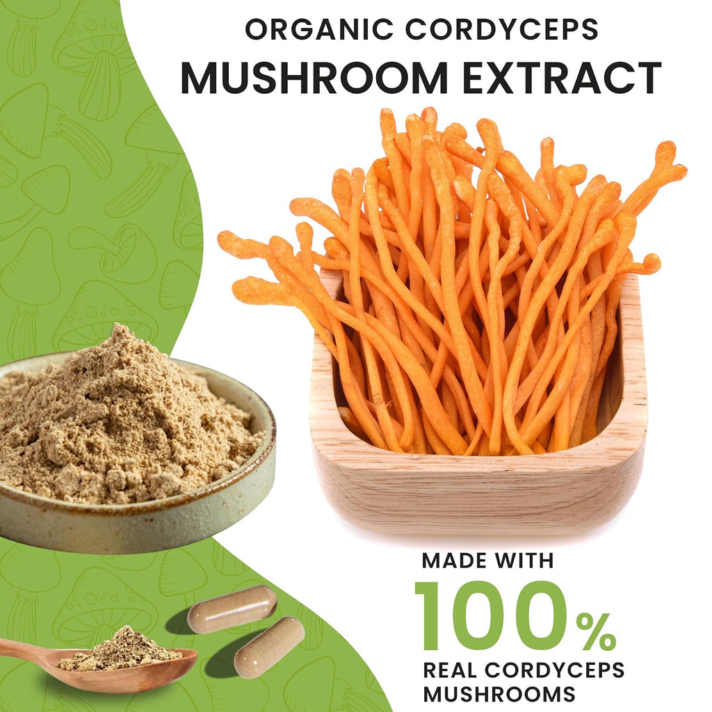 natural adaptogen cordyceps benefits