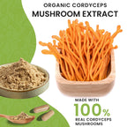 natural adaptogen cordyceps benefits