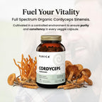 Natural adaptogen for endurance