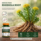 Natural adaptogen for energy boost
