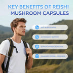 Natural adaptogen for stress relief