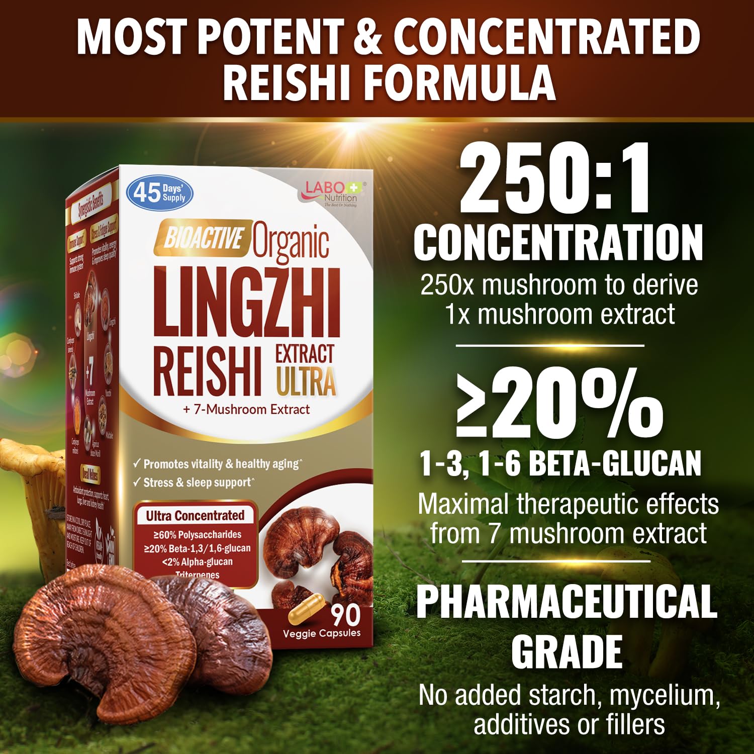 natural adaptogen for stress relief