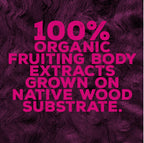 Natural adaptogen gummies for stress relief