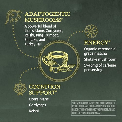 natural adaptogen mushroom blend