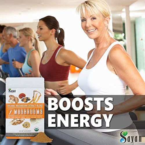 natural adaptogen mushroom powder