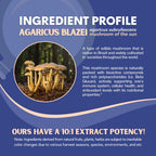 natural adaptogen mushroom supplement