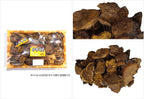Natural adaptogen Phellinus Linteus mushrooms