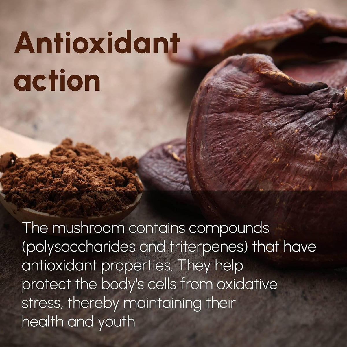 natural adaptogen reishi mushroom supplement