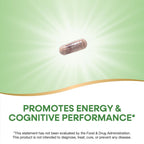 natural adaptogen rhodiola benefits