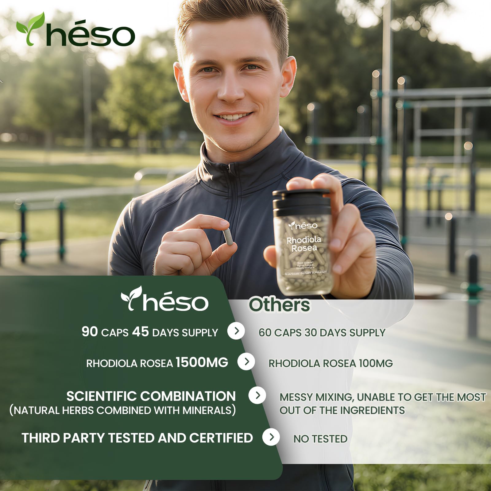 Natural adaptogen Rhodiola Rosea benefits
