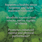 natural adaptogen Rhodiola Rosea supplement