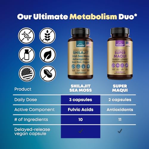 natural adaptogen shilajit supplement