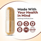 Natural adaptogen Tiger Milk Mushroom benefits