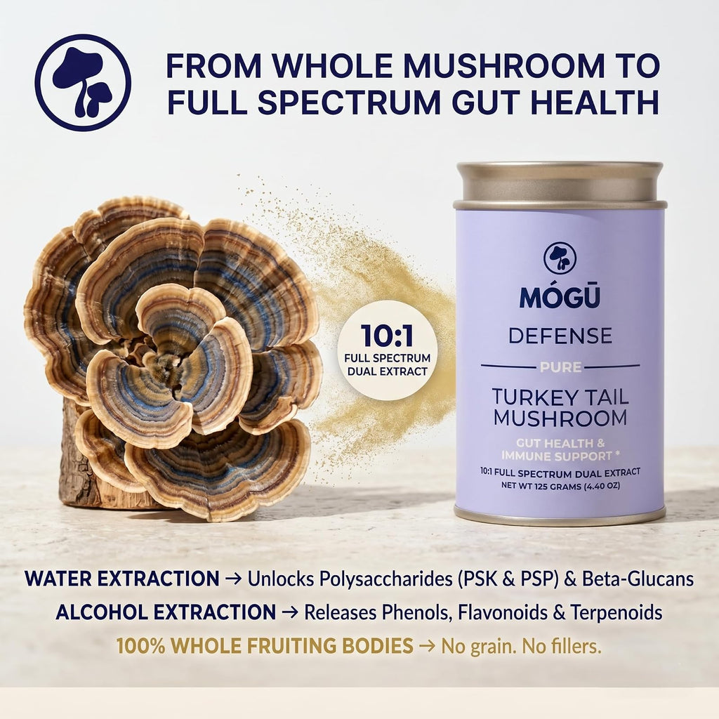 Natural adaptogen Turkey Tail powder