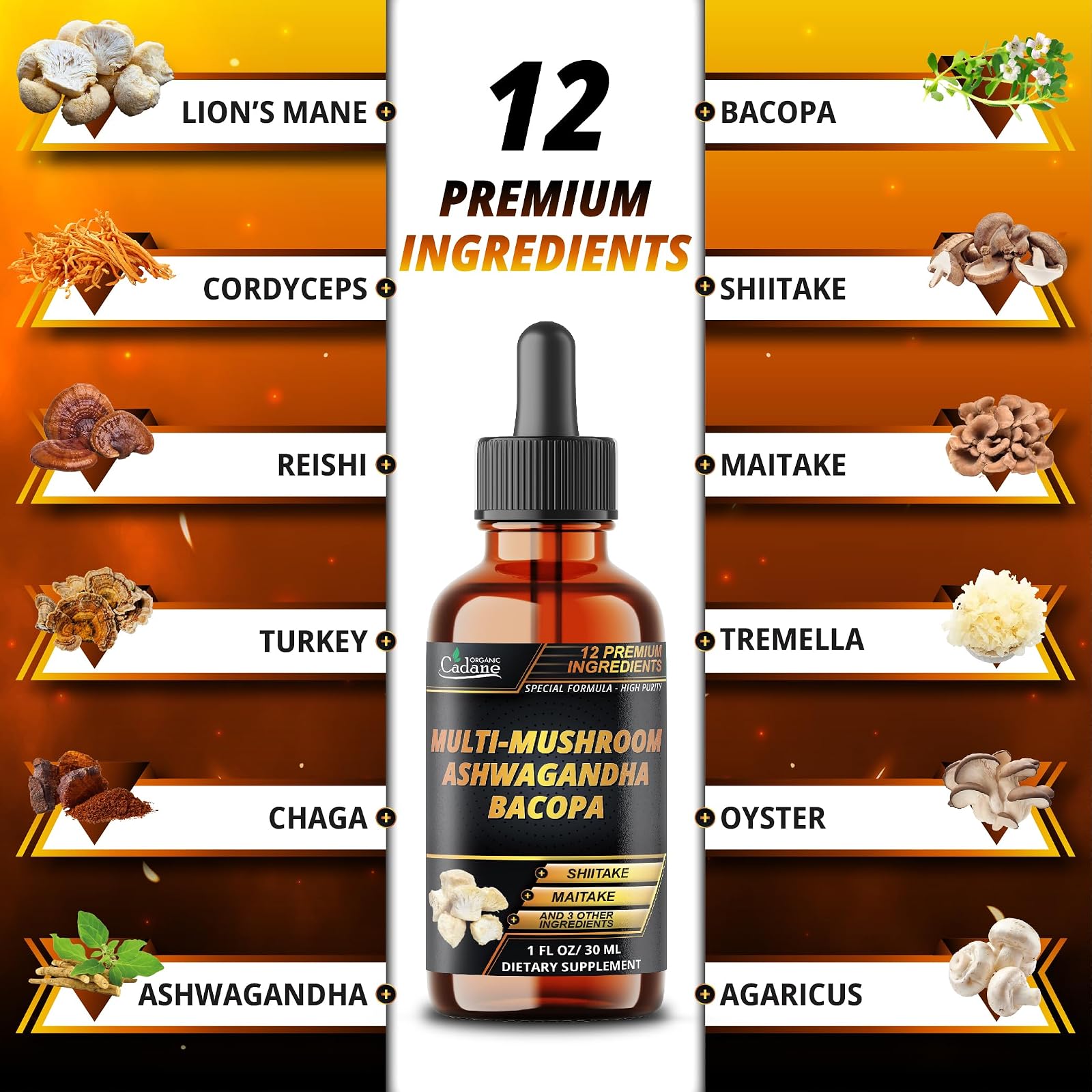 Natural adaptogens for daily health