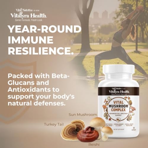 Natural adaptogens for daily health