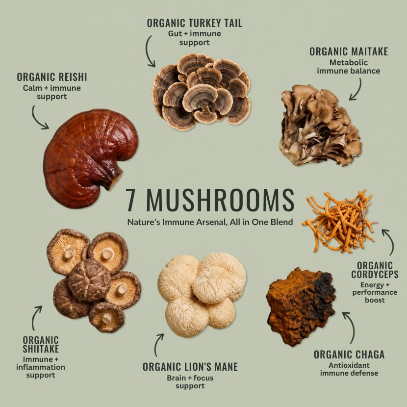 natural adaptogens for overall wellness