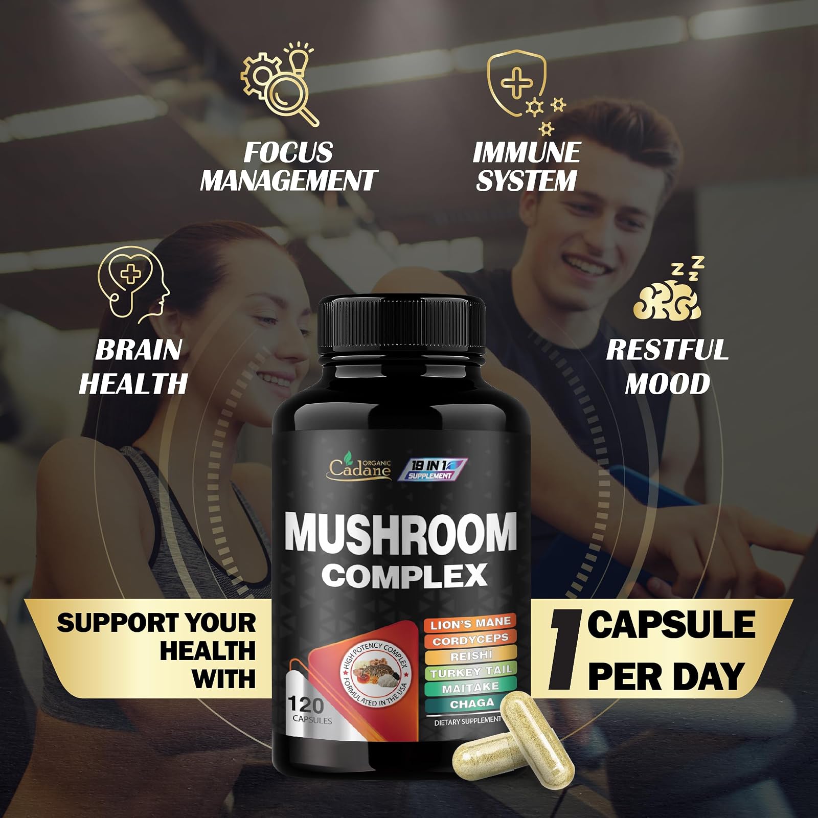 Natural adaptogens in Cadane mushrooms