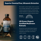 natural adaptogens in mushroom complex