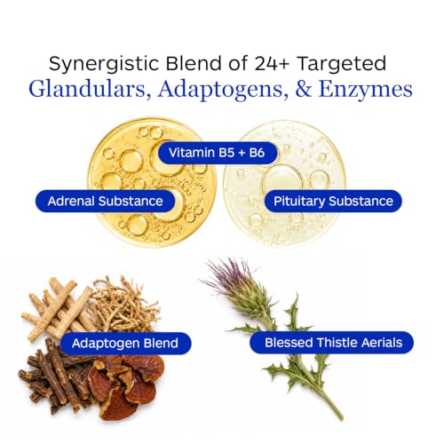 natural adrenal extract for stress relief