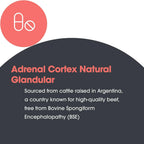 natural adrenal support from ARG capsules