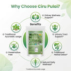 natural Aerva Lanata supplement benefits