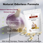 natural aged garlic extract benefits