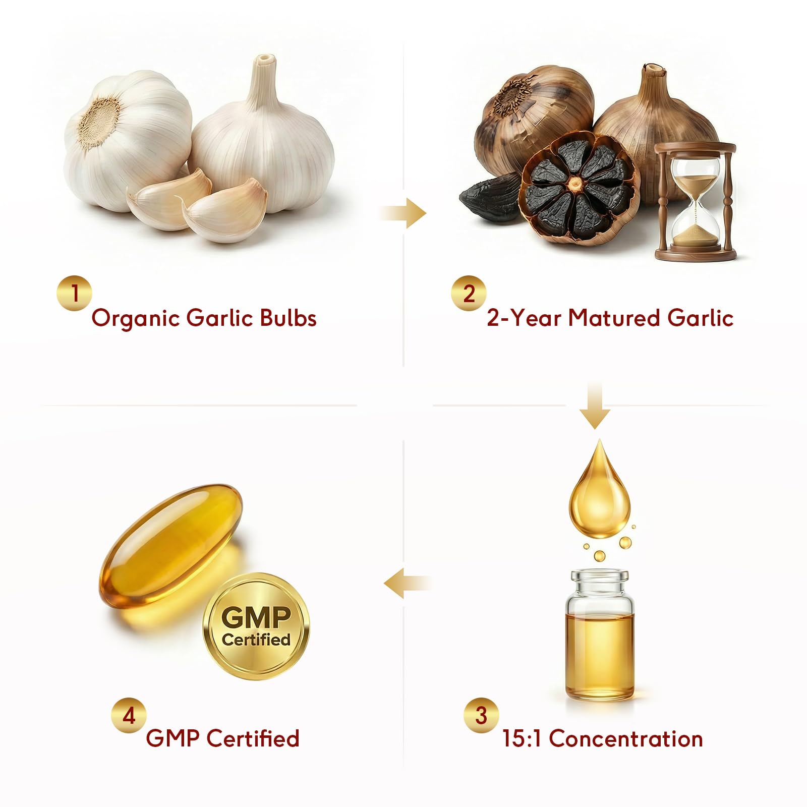 Natural aged garlic extract benefits