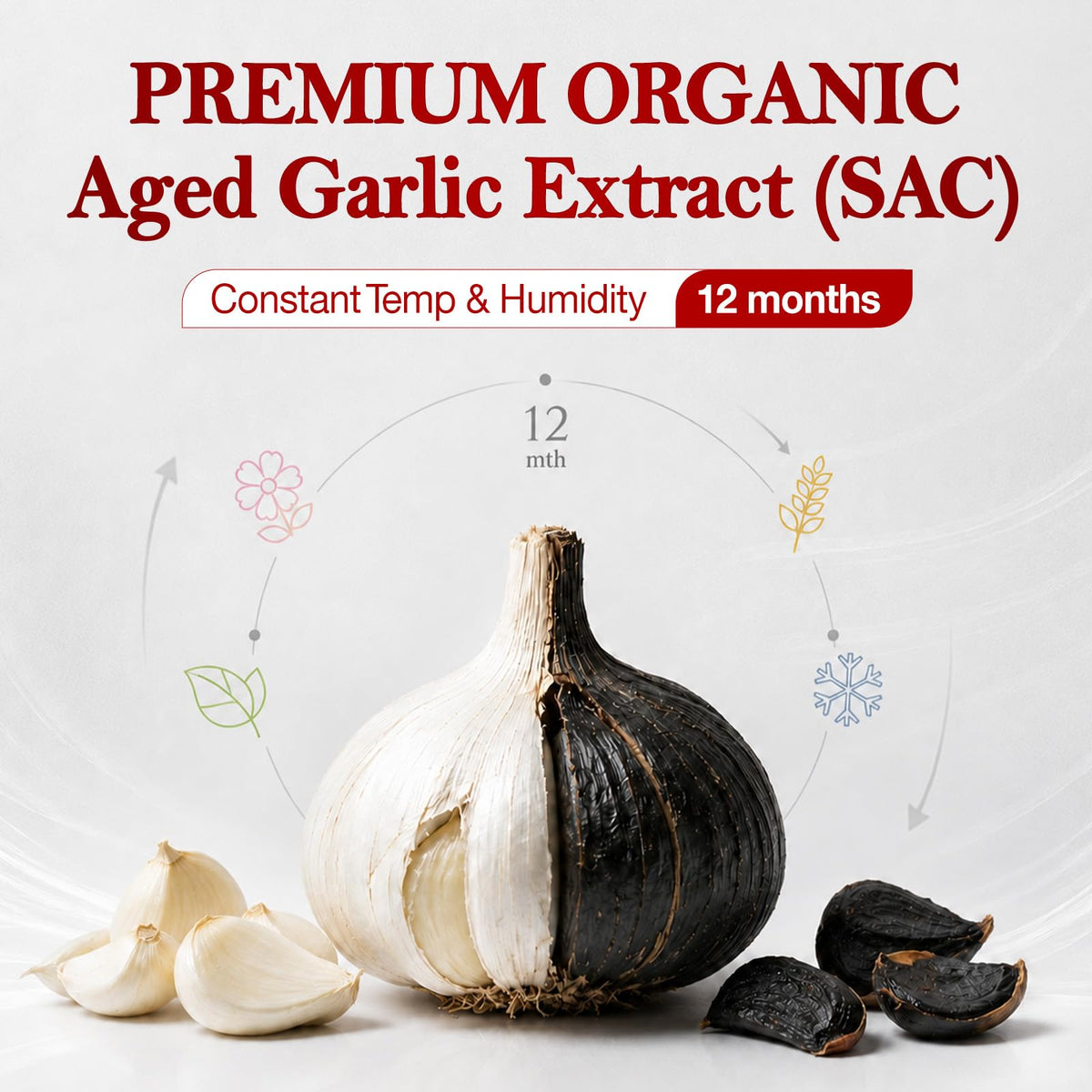 natural aged garlic gummies for immunity