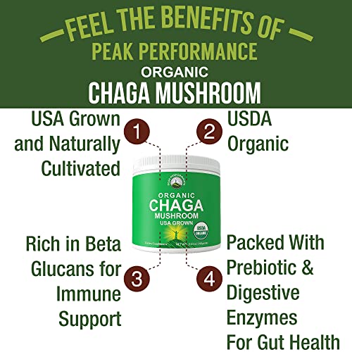 natural aging support with chaga