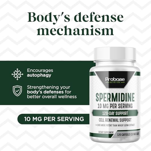natural aging support with spermidine