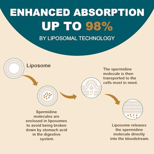 Natural aging support with spermidine