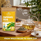 Natural agrimony herb tea for wellness