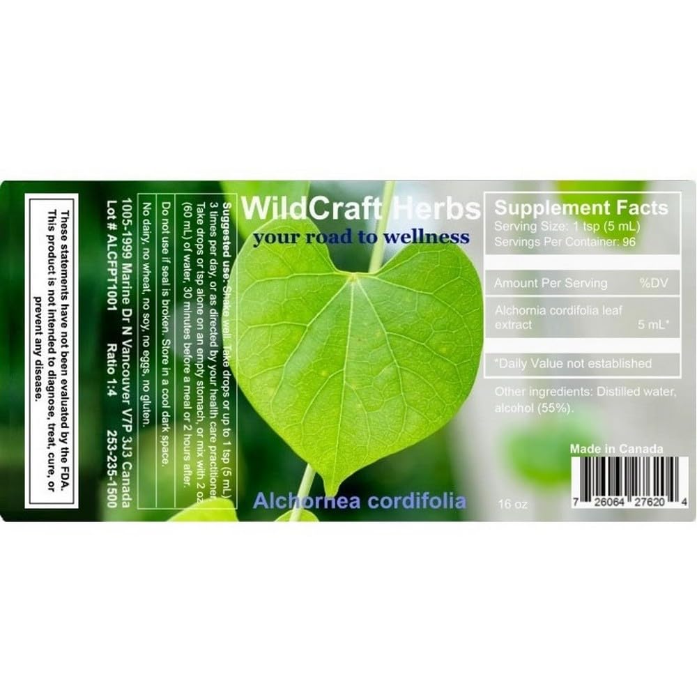 Natural Alchornea Cordifolia for wellness