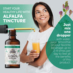 Natural alfalfa extract for vitality