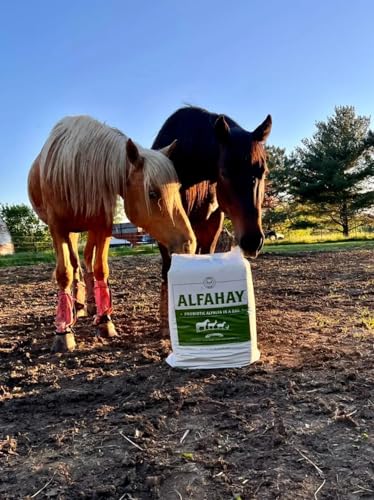natural alfalfa supplement for farm animals