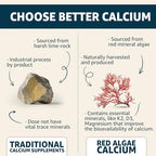 natural algae calcium for daily wellness