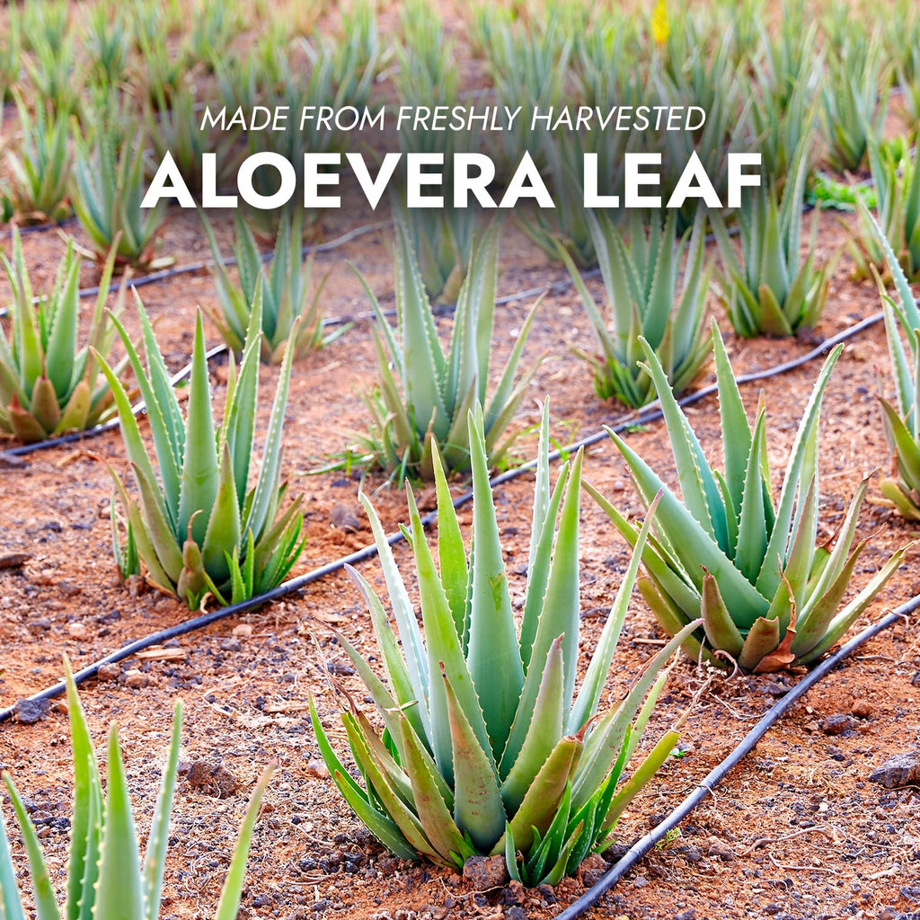 natural aloe vera drink for detox