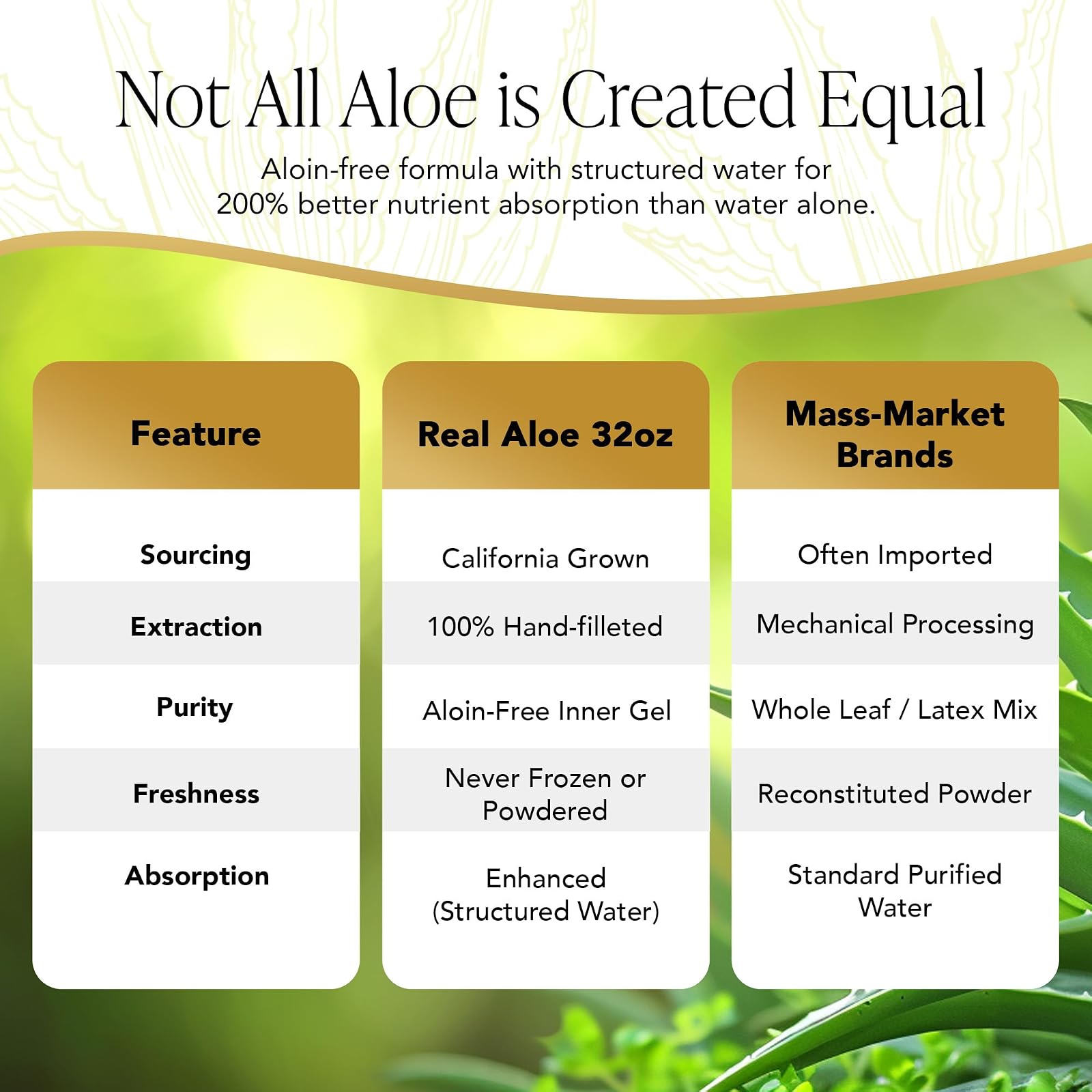 natural aloe vera gel for hair care