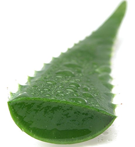 natural aloe vera plant benefits