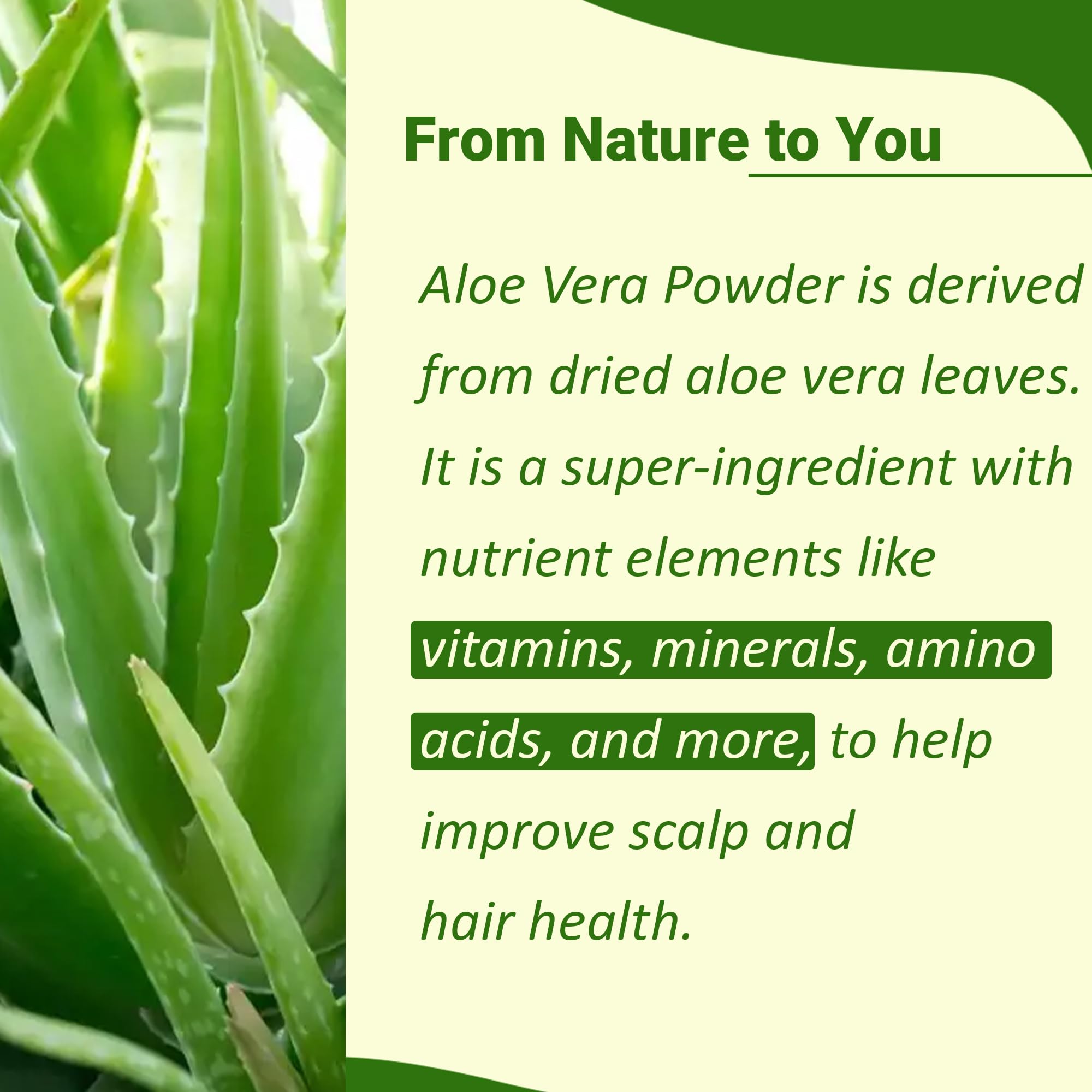 natural aloe vera supplement benefits