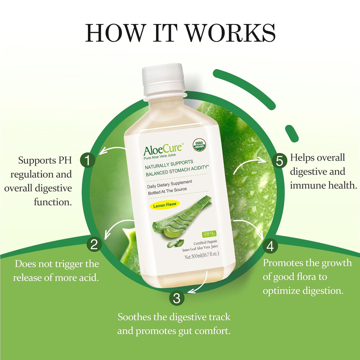 natural aloe vera wellness boost
