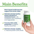 Natural Amla extract for antioxidant support