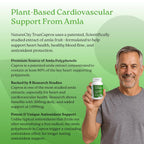 Natural Amla fruit for antioxidant support