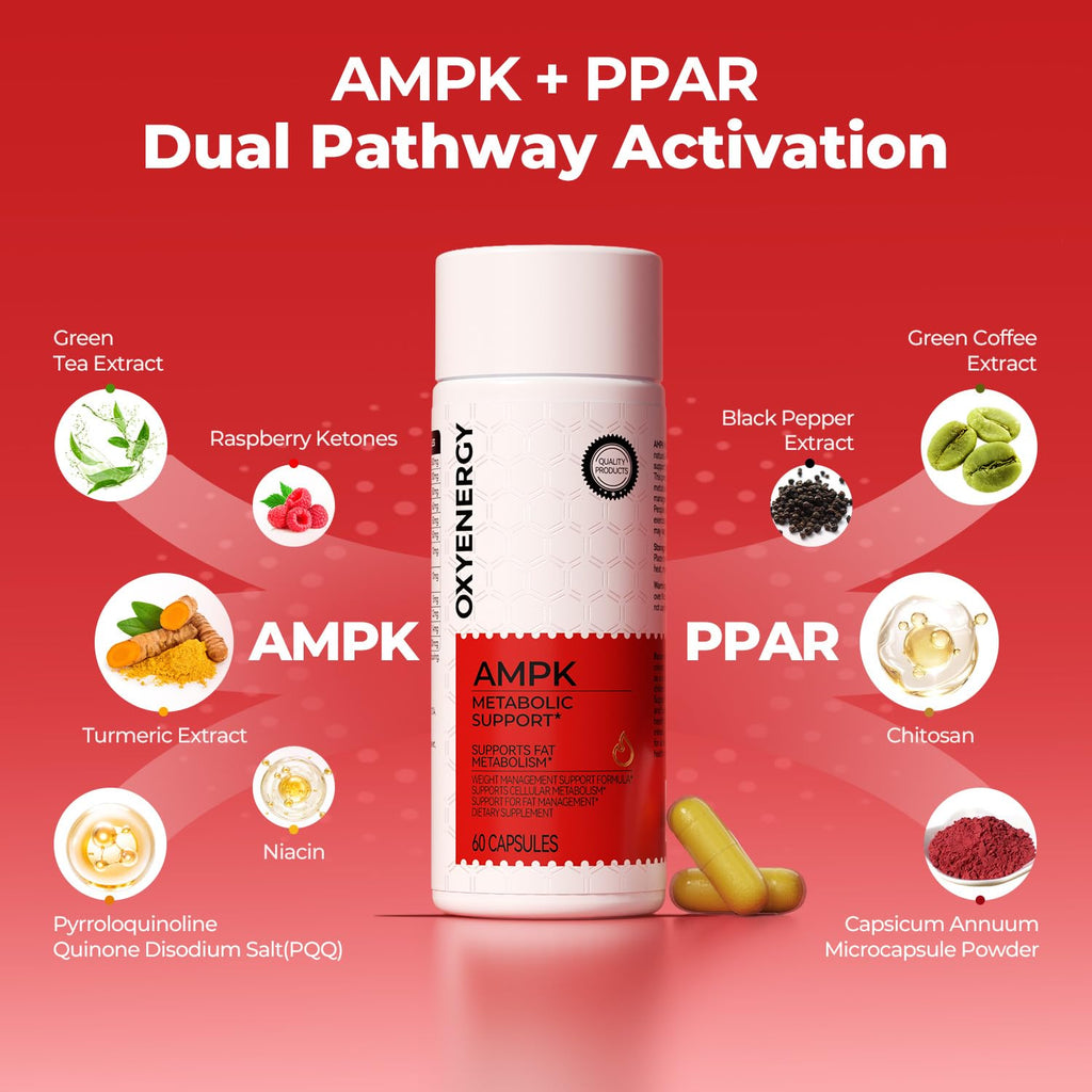 natural AMPK activator for energy boost