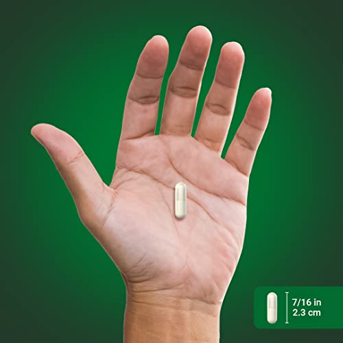 natural anti-inflammatory boswellia serrata extract